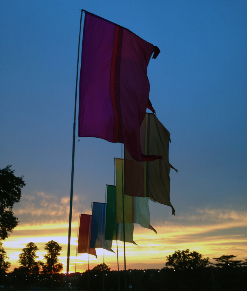 Classic Arena Festival Flag Gallery - The Event Flag Hire Company