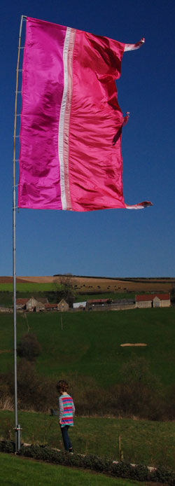 Classic Arena Festival Flag Gallery - The Event Flag Hire Company